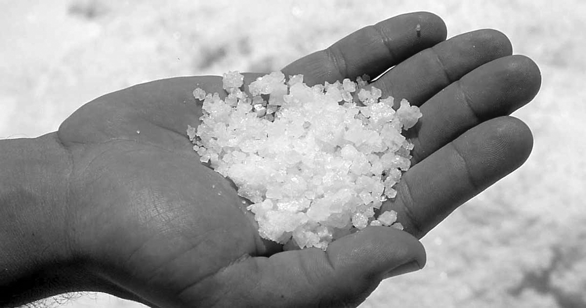 LA SANTA BRUJERÍA DE LA SAL – "El trote de la culebra" – Antropología ...